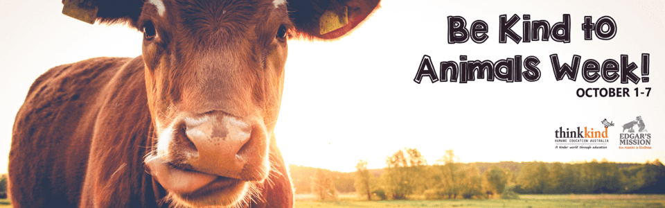 Be Kind to Animals Week for Schools