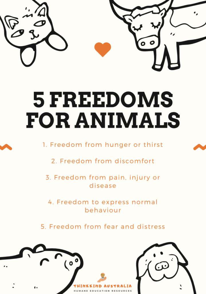 Five Freedoms for Animals Classroom Poster